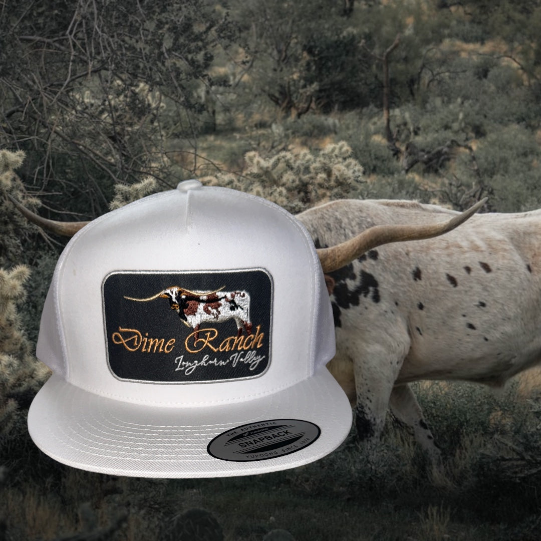 Longhorn Valley – Lonely Dime Hat Company